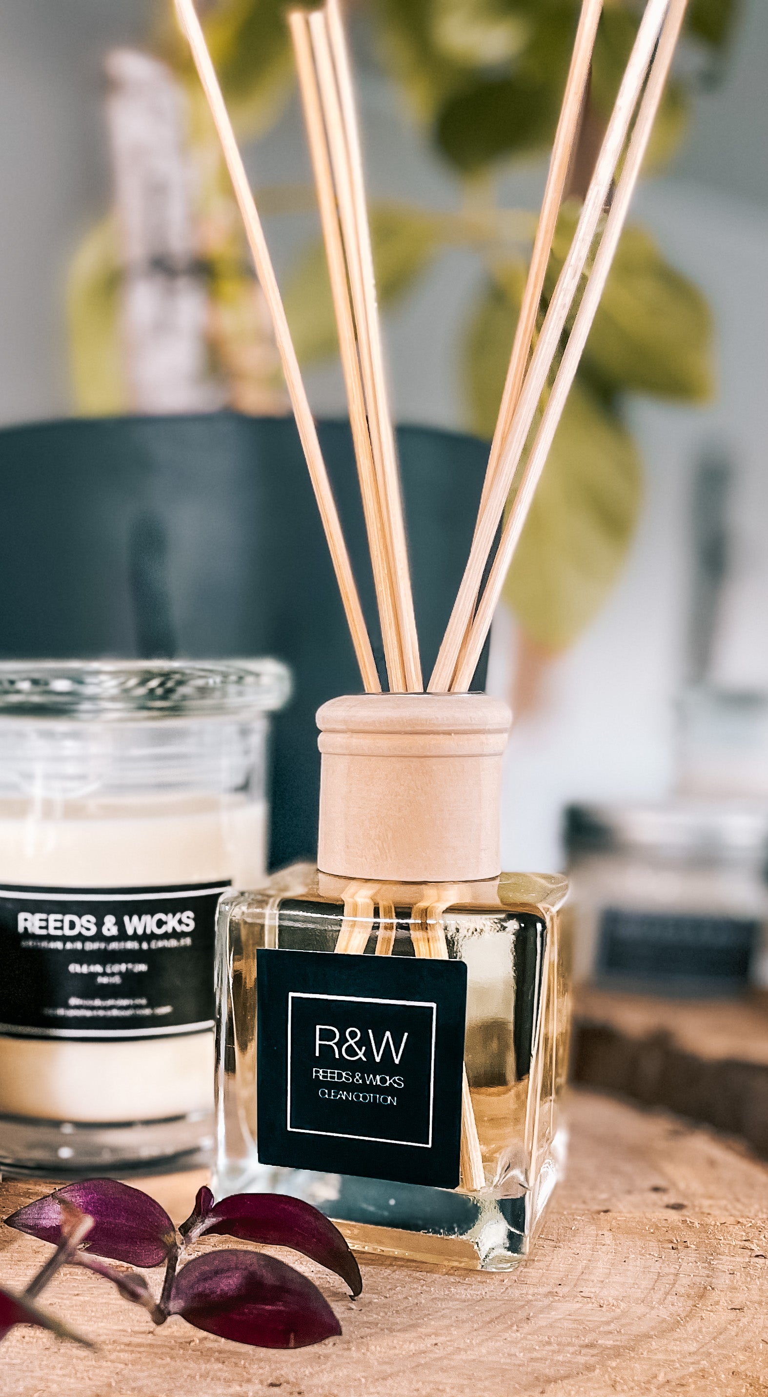Reeds & Wicks